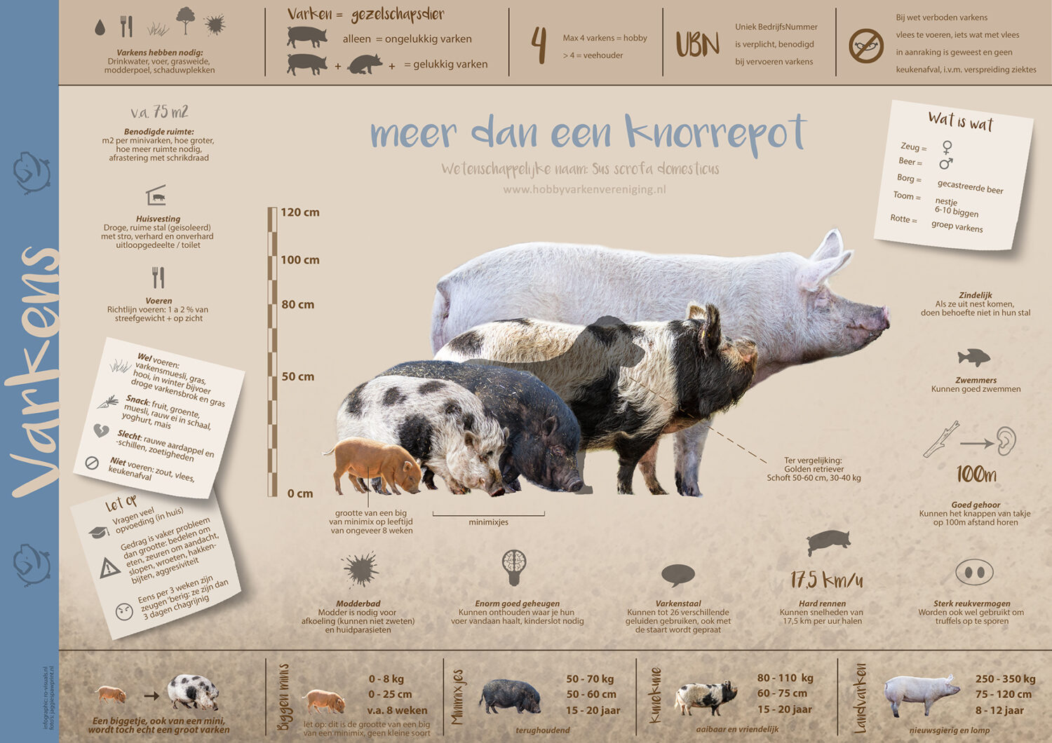Huisvesting van varkens - Hou houd ik een varken bij huis?
